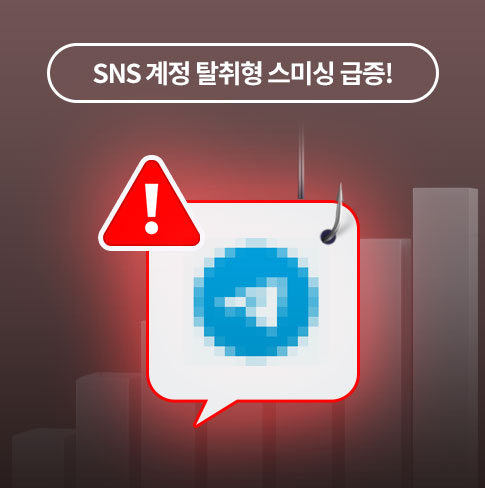 스마트피싱보호, 안티스캠(Antiscam)